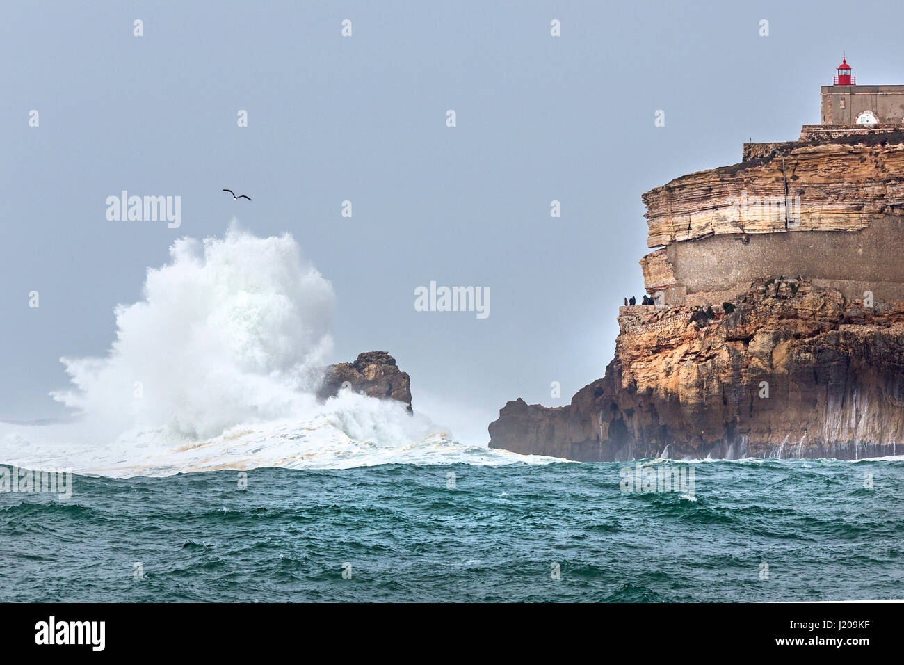 Nazare portugal wave hi-res stock photography and images - Alamy
