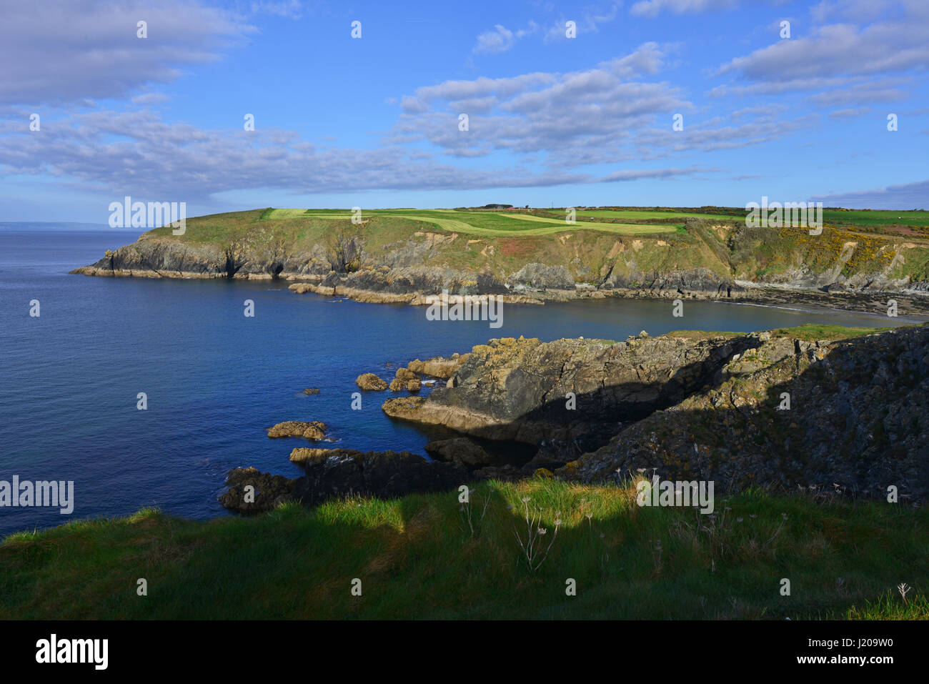 Kilmurrin cliffs in springtime in Ireland Stock Photo - Alamy