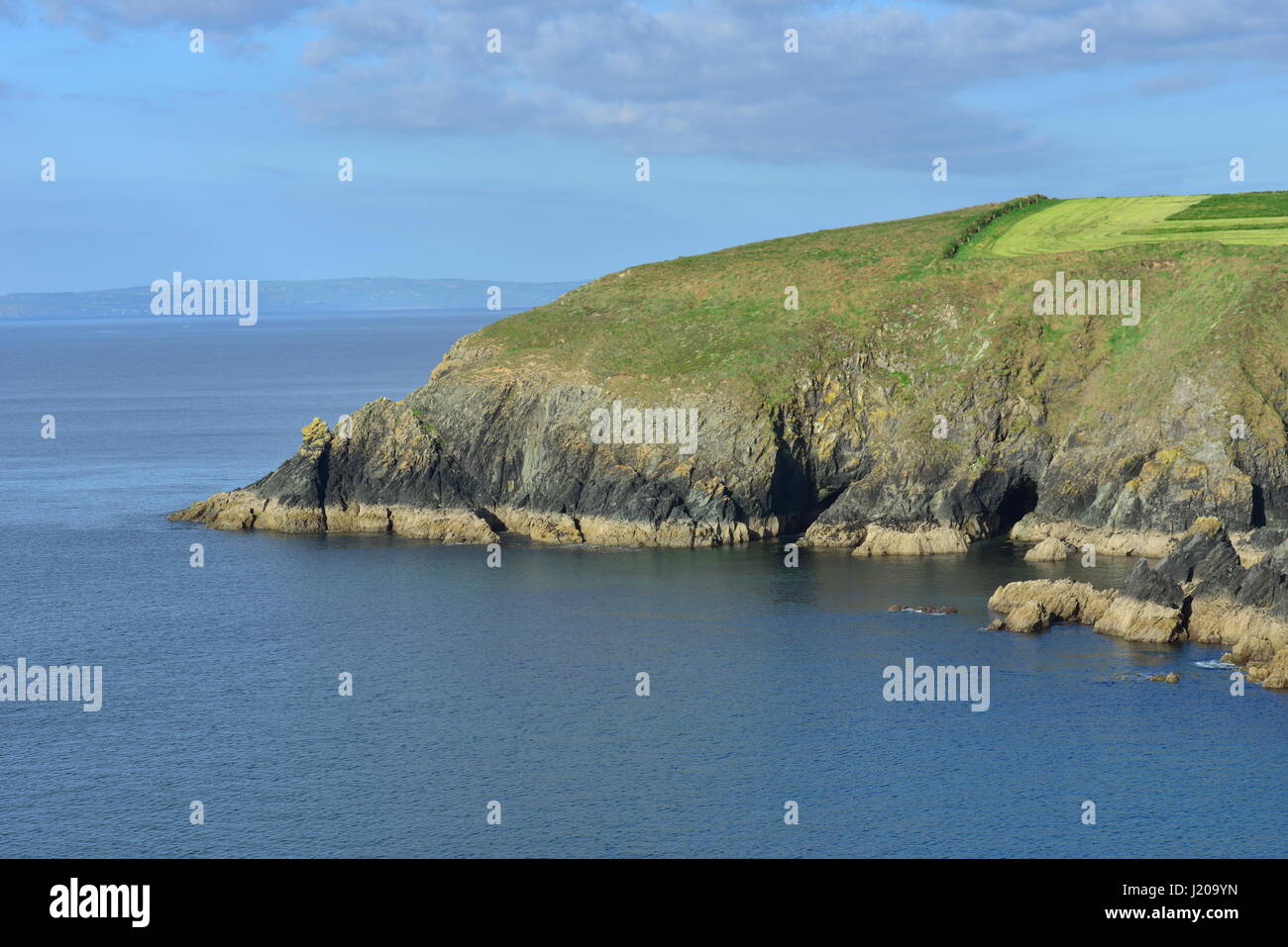 Kilmurrin cliffs in springtime in Ireland Stock Photo - Alamy