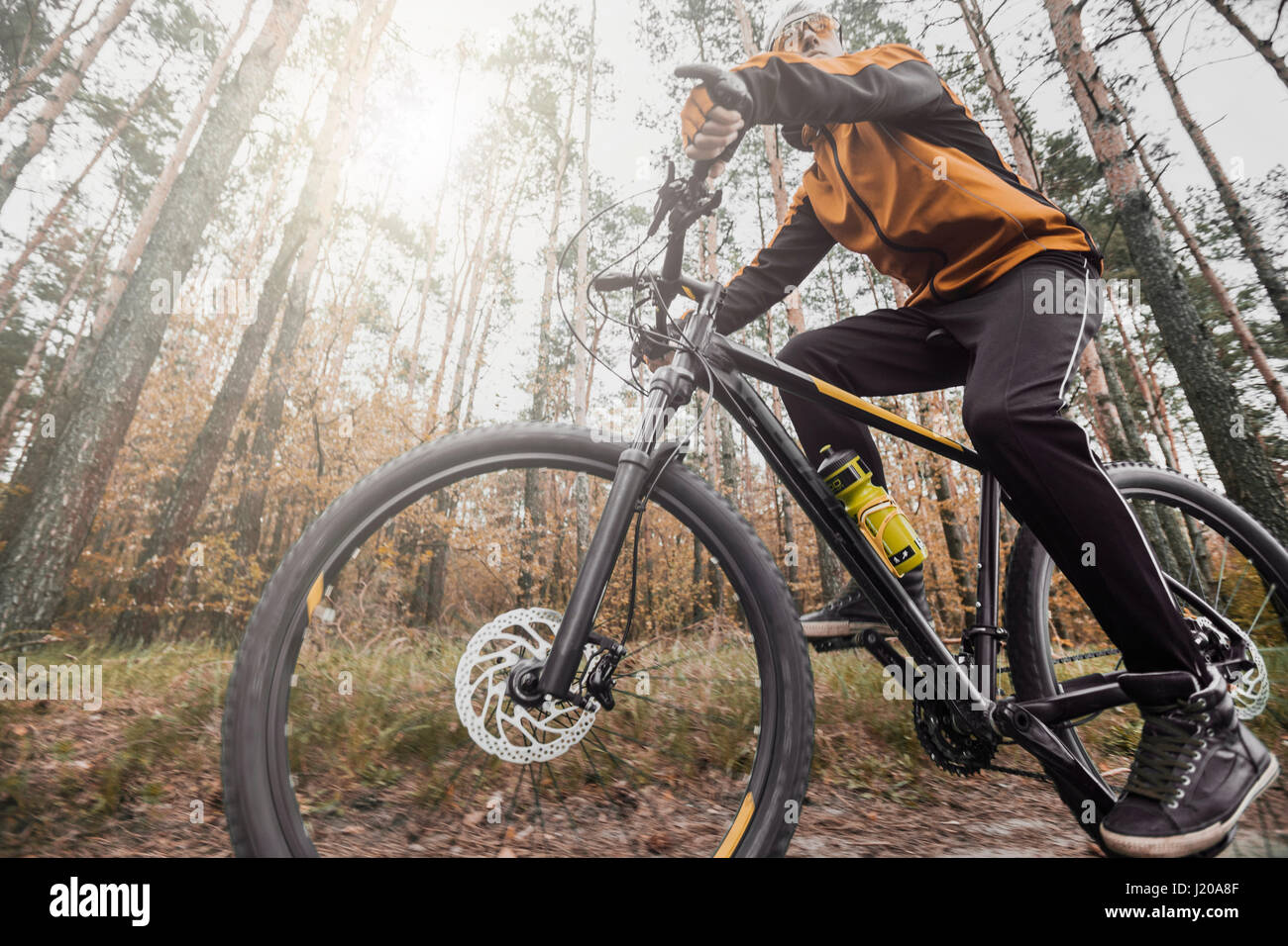 Man Rides a Bike in the Forest Stock Photo - Alamy