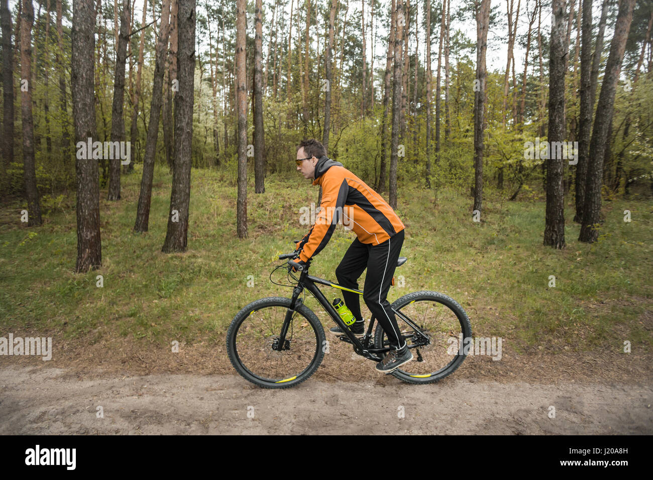 Man Rides a Bike in the Forest Stock Photo - Alamy
