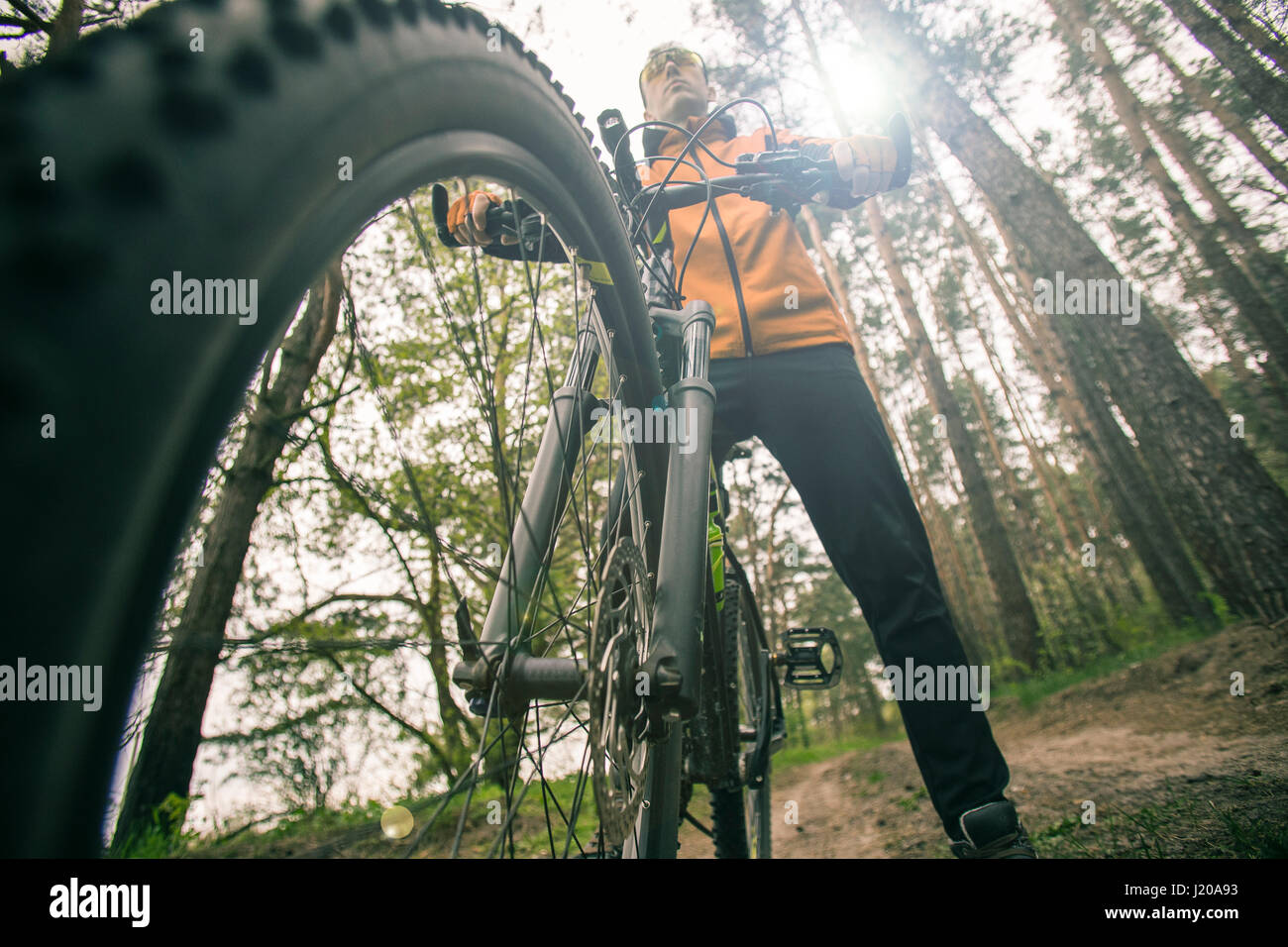 Man Rides a Bike in the Forest Stock Photo - Alamy