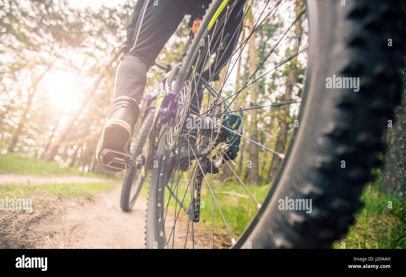 Bike Wheel Back Shot Stock Photo - Alamy