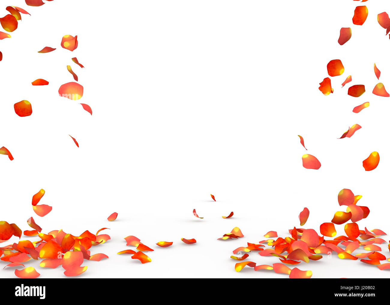 Rose petals fall to the floor. Isolated background Stock Photo - Alamy