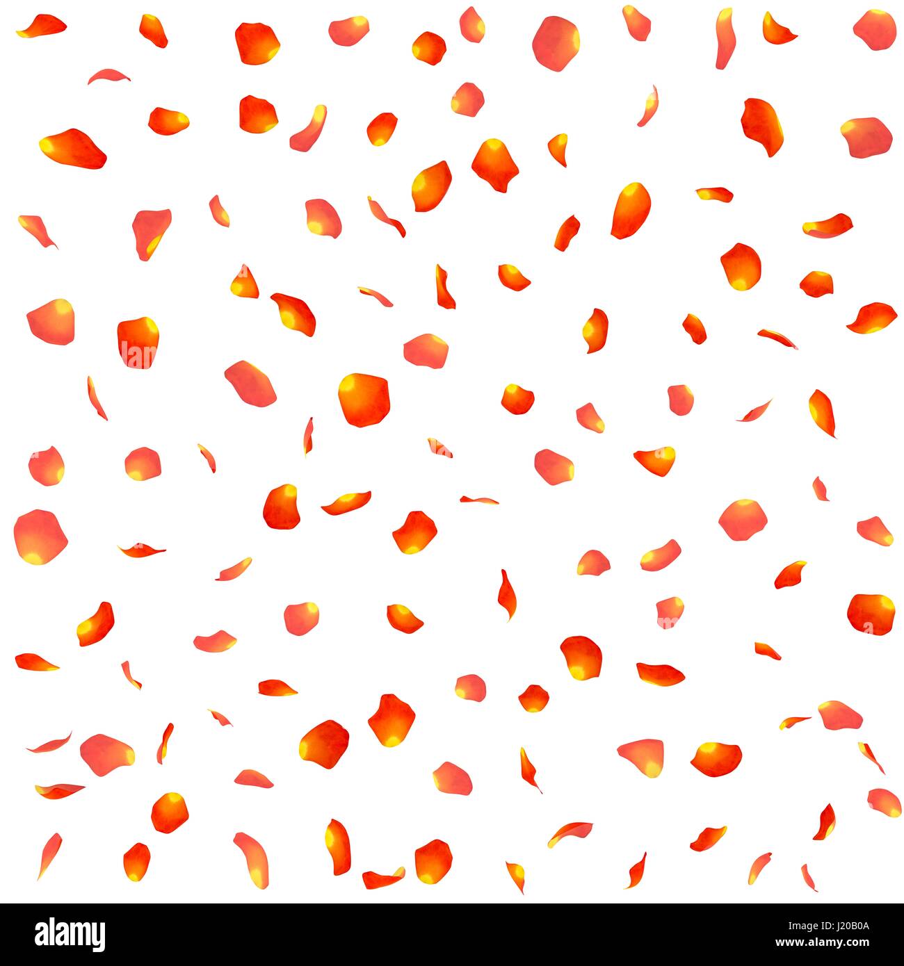 Seamless texture of orange rose petals. Isolated background Stock Photo ...