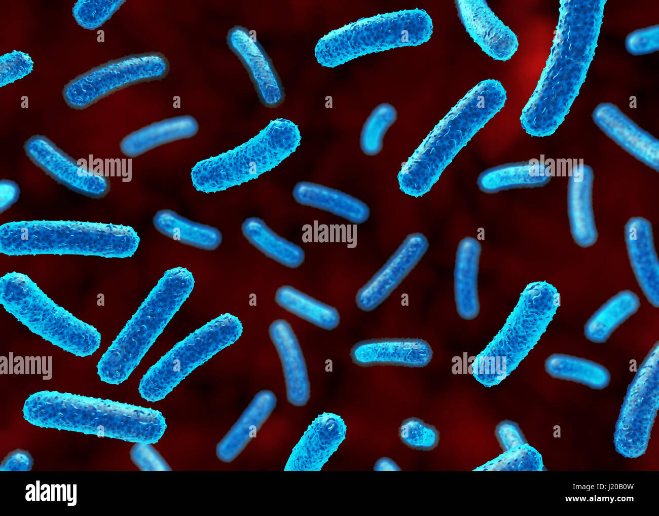 Illustration of bacteria in the body. 3D illustration Stock Photo - Alamy