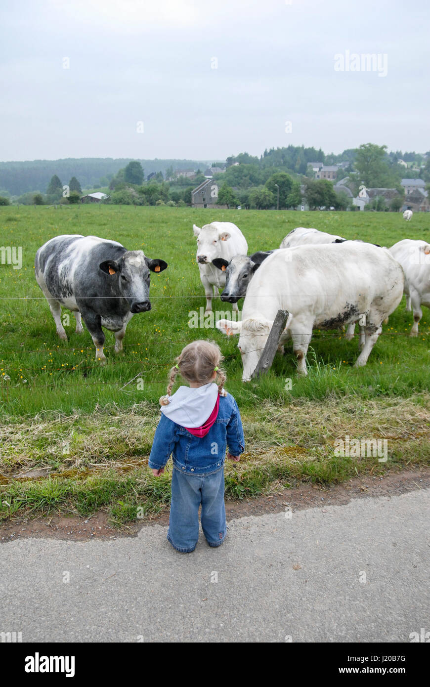 Little girl watching cows Stock Photo - Alamy