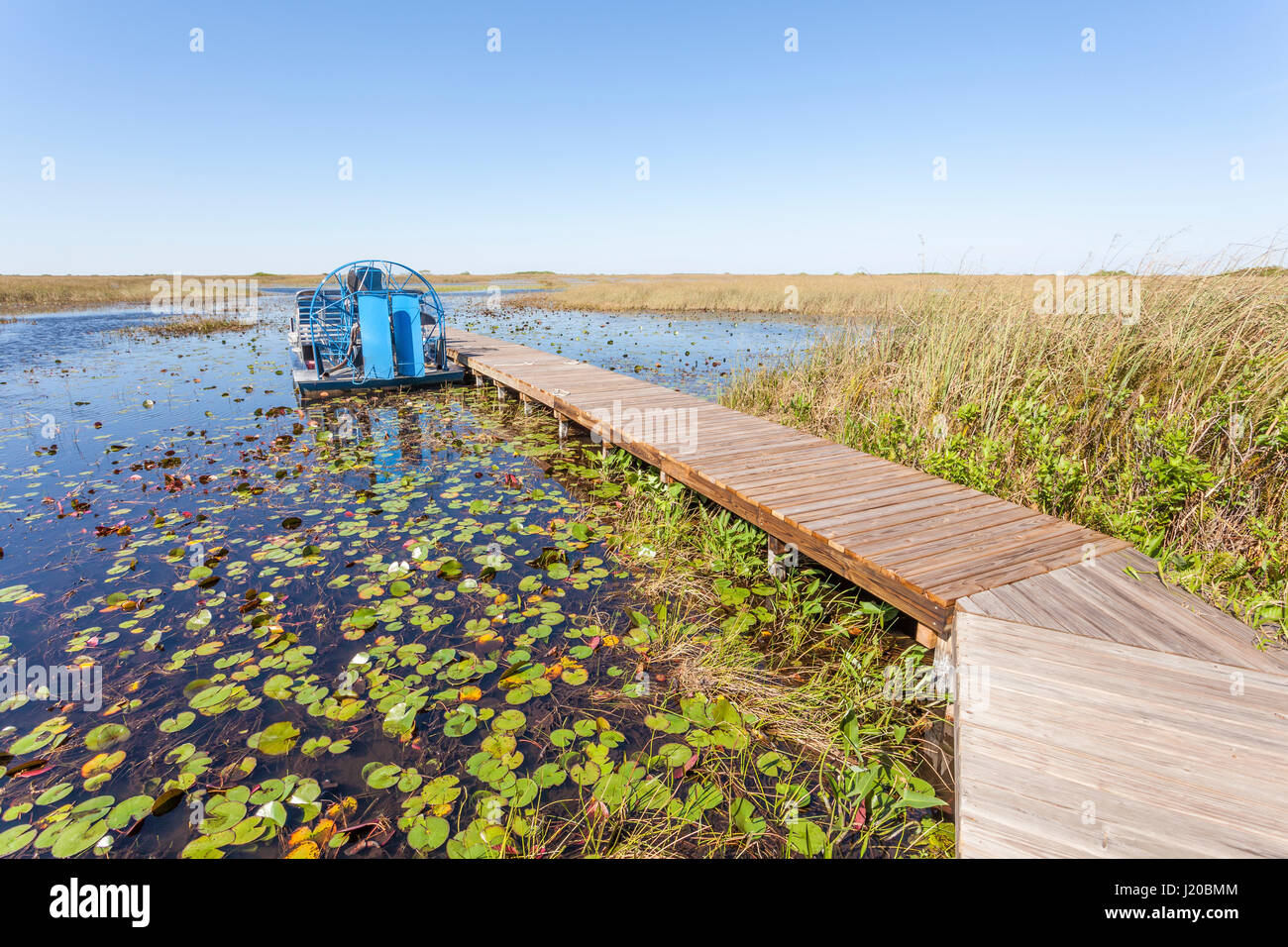 Everglades airboat tour hi-res stock photography and images - Alamy