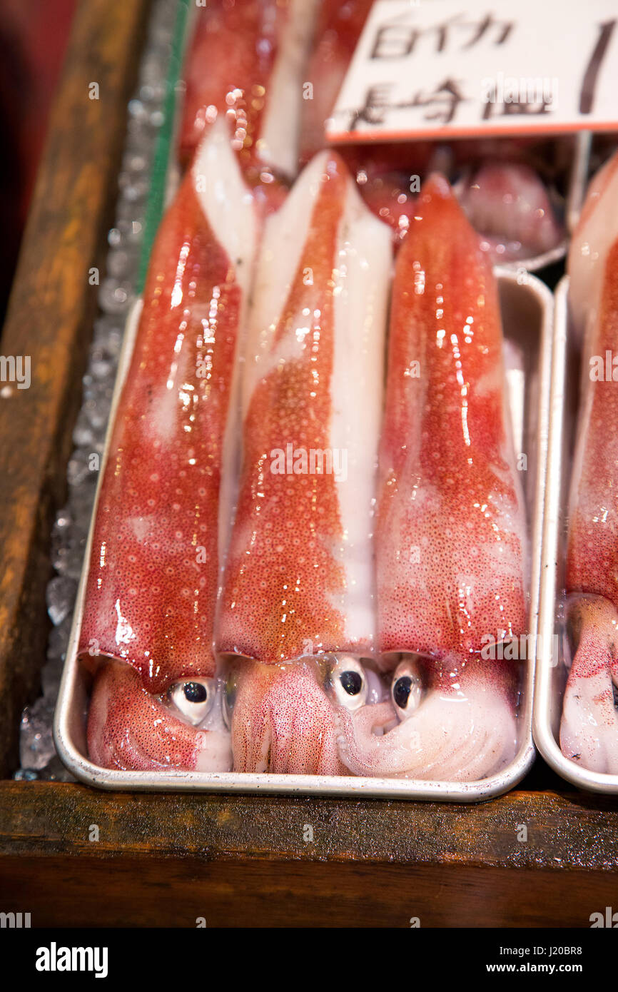 Display of fresh whole squid for sale at Tsukiji market in Tokyo, Japan ...