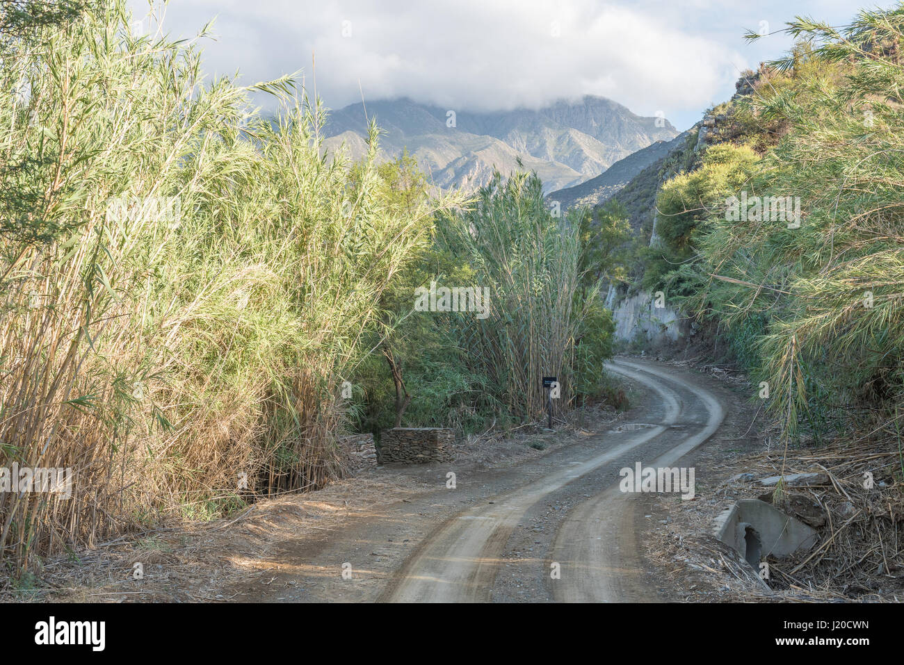 Early morning scene next to the Gamka river near Matjiesvlei in the ...