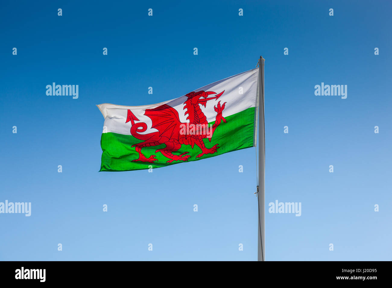 The Welsh National Flag flying at Barmouth, Gwynedd, Wales Stock Photo ...