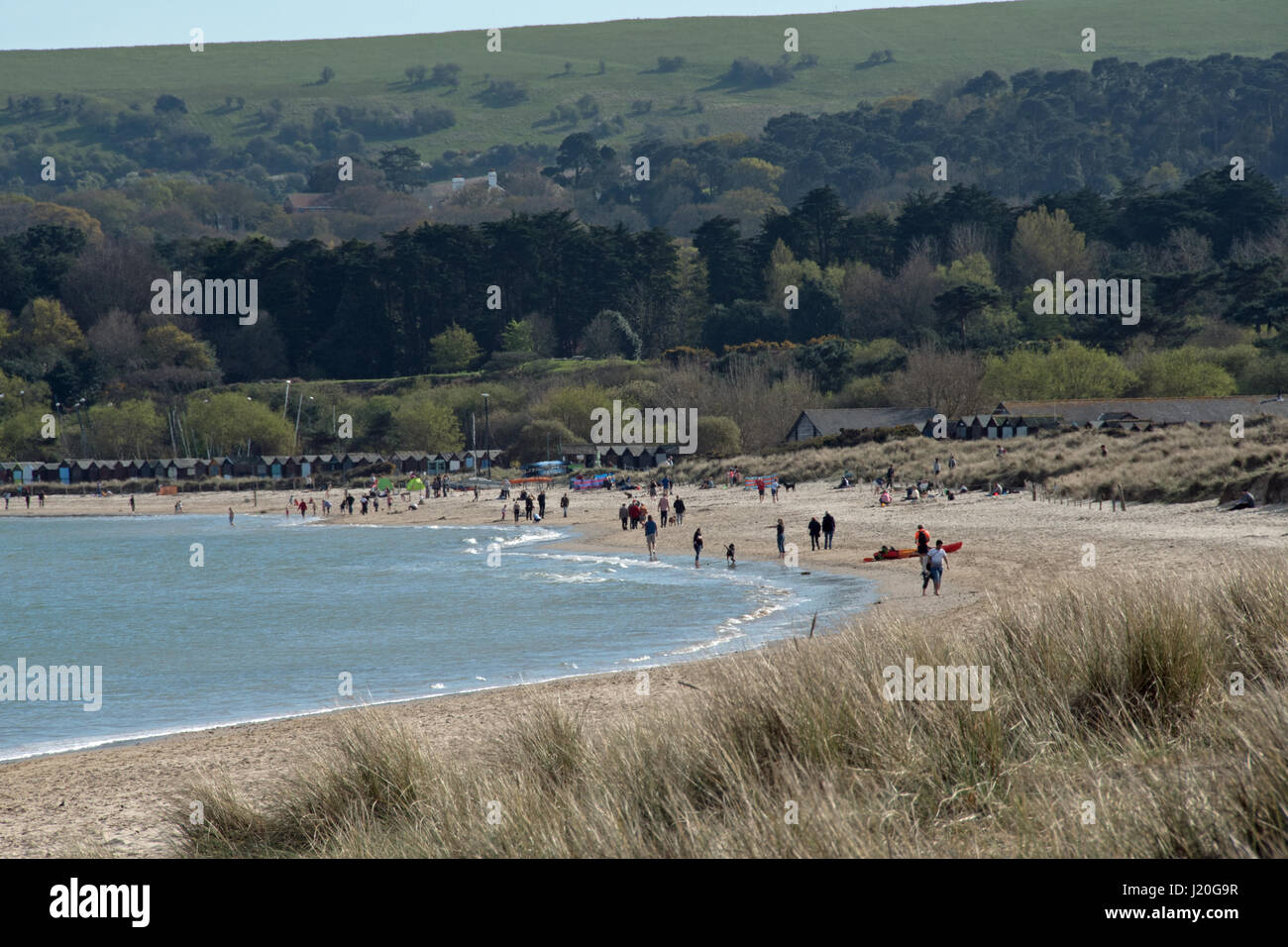 Knoll Beach, Studland Bay, Dorset Stock Photo - Alamy