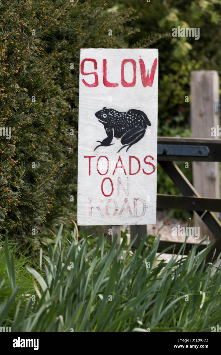 'Slow Toads of Road' sign Stock Photo - Alamy
