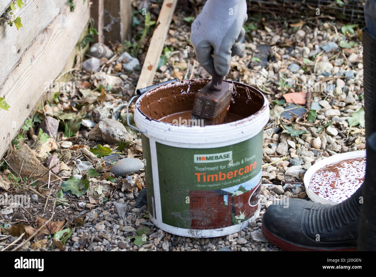 close up of mans hand putting paintbrush into wood stain bucket Stock ...