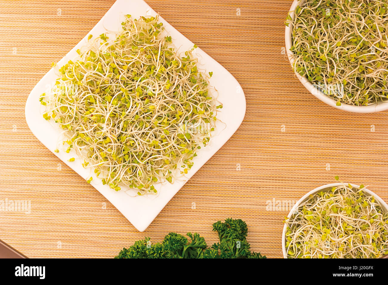 Chinese broccoli plant hi-res stock photography and images - Alamy