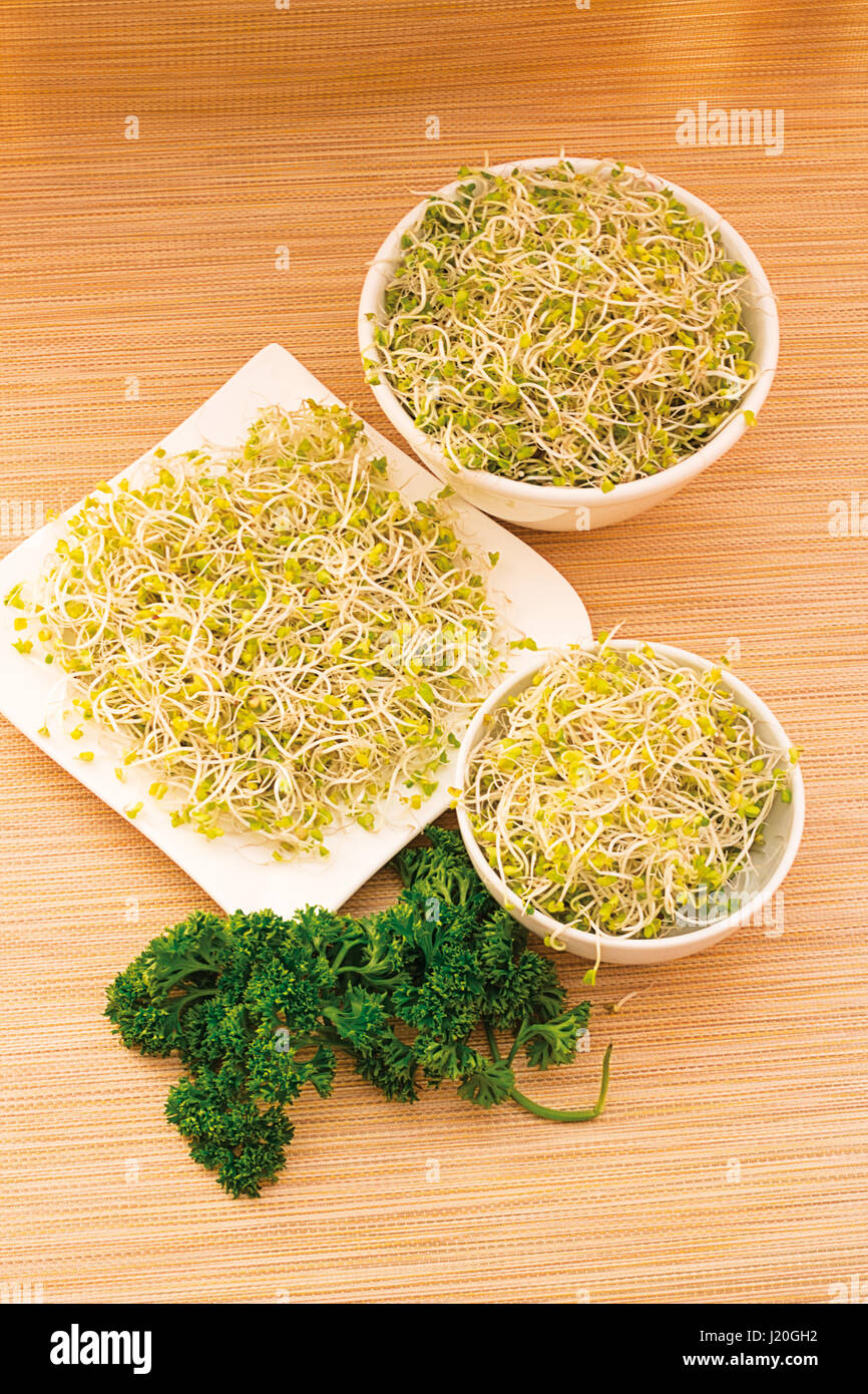 Bio broccoli hi-res stock photography and images - Alamy