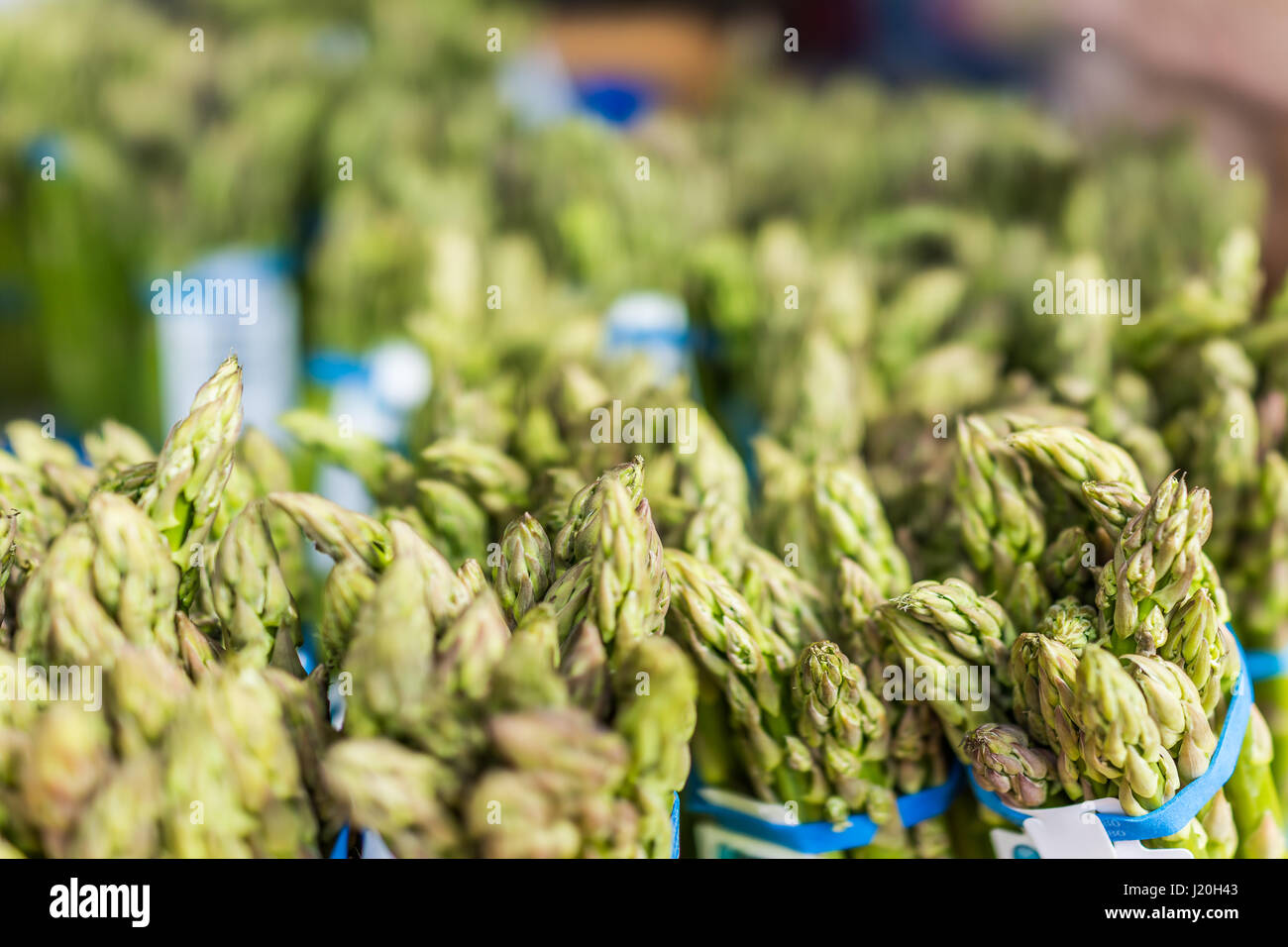 Many tops of asparagus bunches on display Stock Photo - Alamy