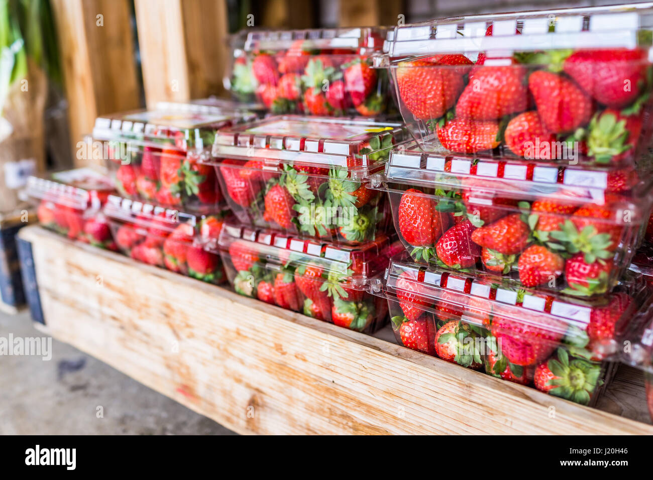 Closeup of many strawberries in plastic boxes on display in wooden ...