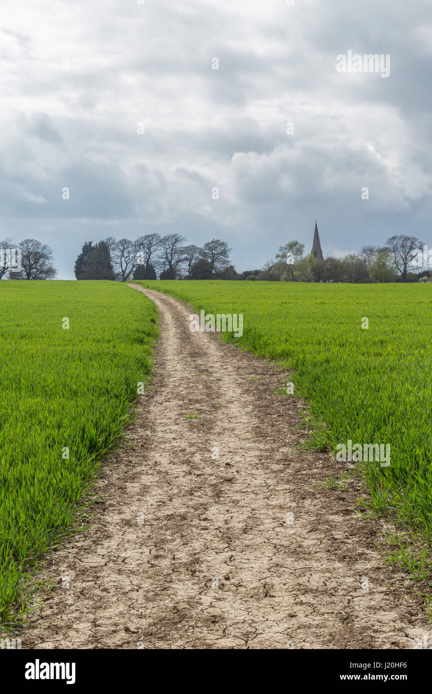 A track running across a field in the English Countryside Stock Photo ...