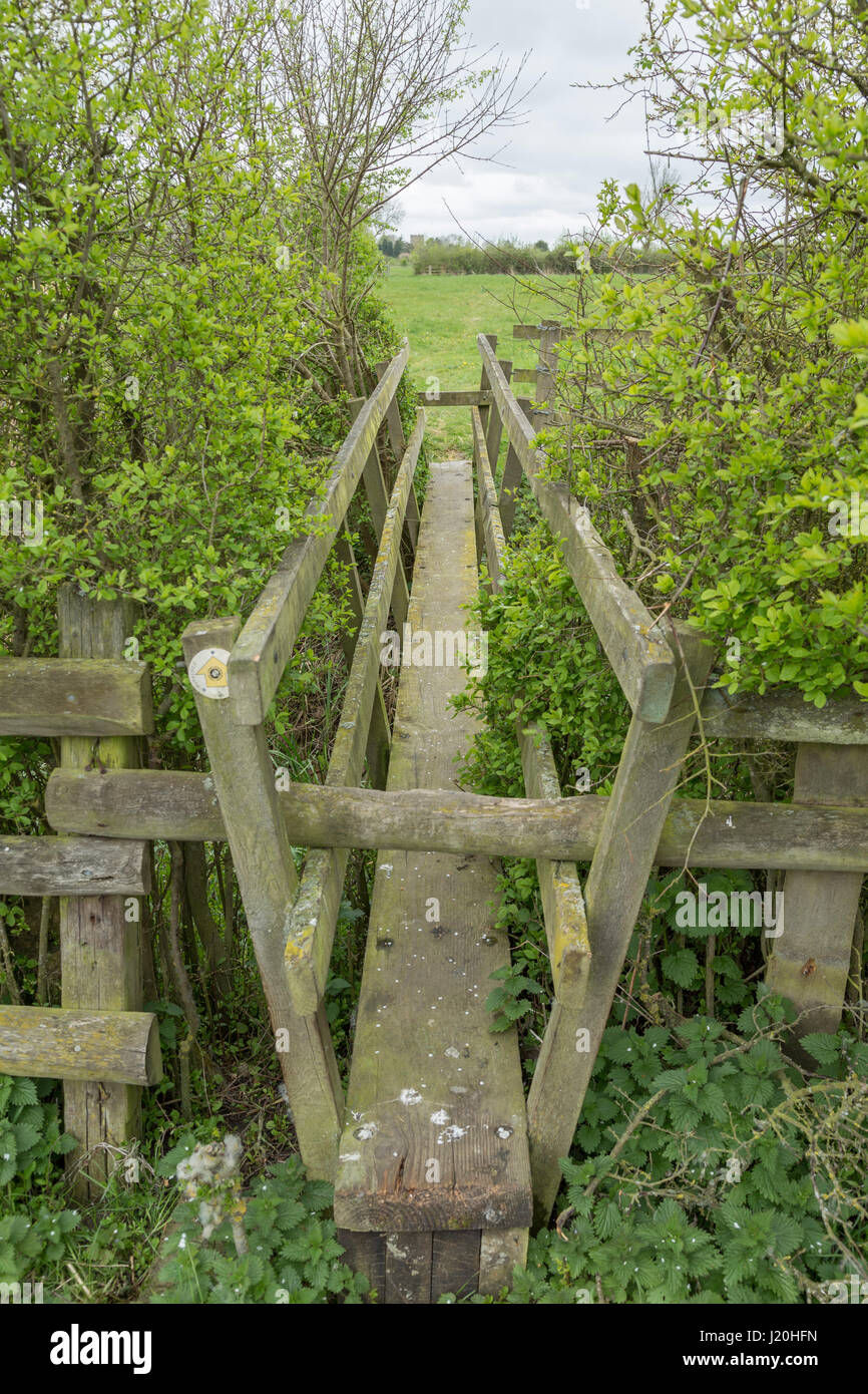 A wooden footbridge crossing over a stream with green fields Stock ...