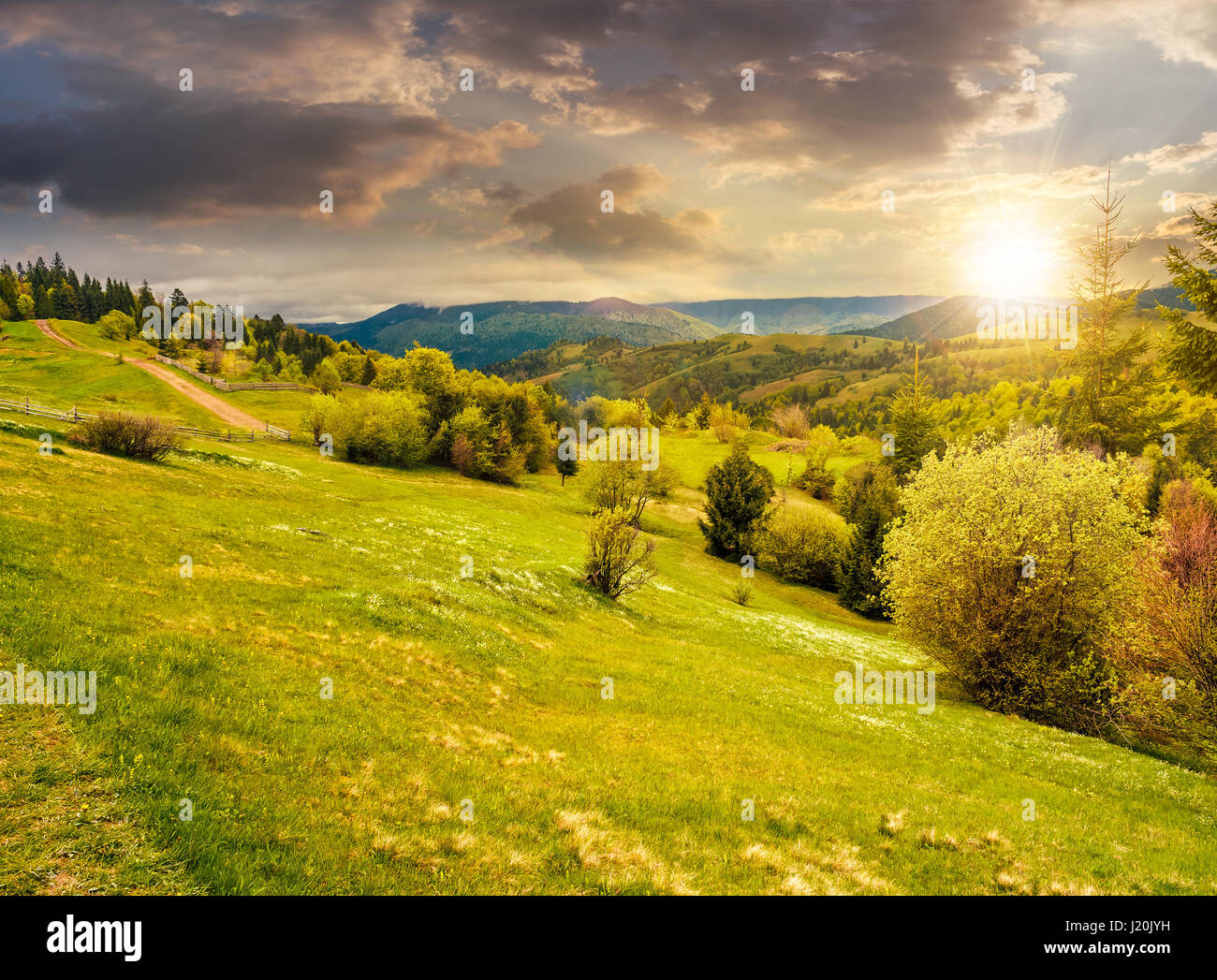 composite countryside landscape. forest in mountain rural area. grassy ...