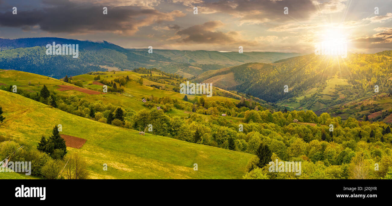 Panoramic rural landscape. forest in mountain rural area. green ...