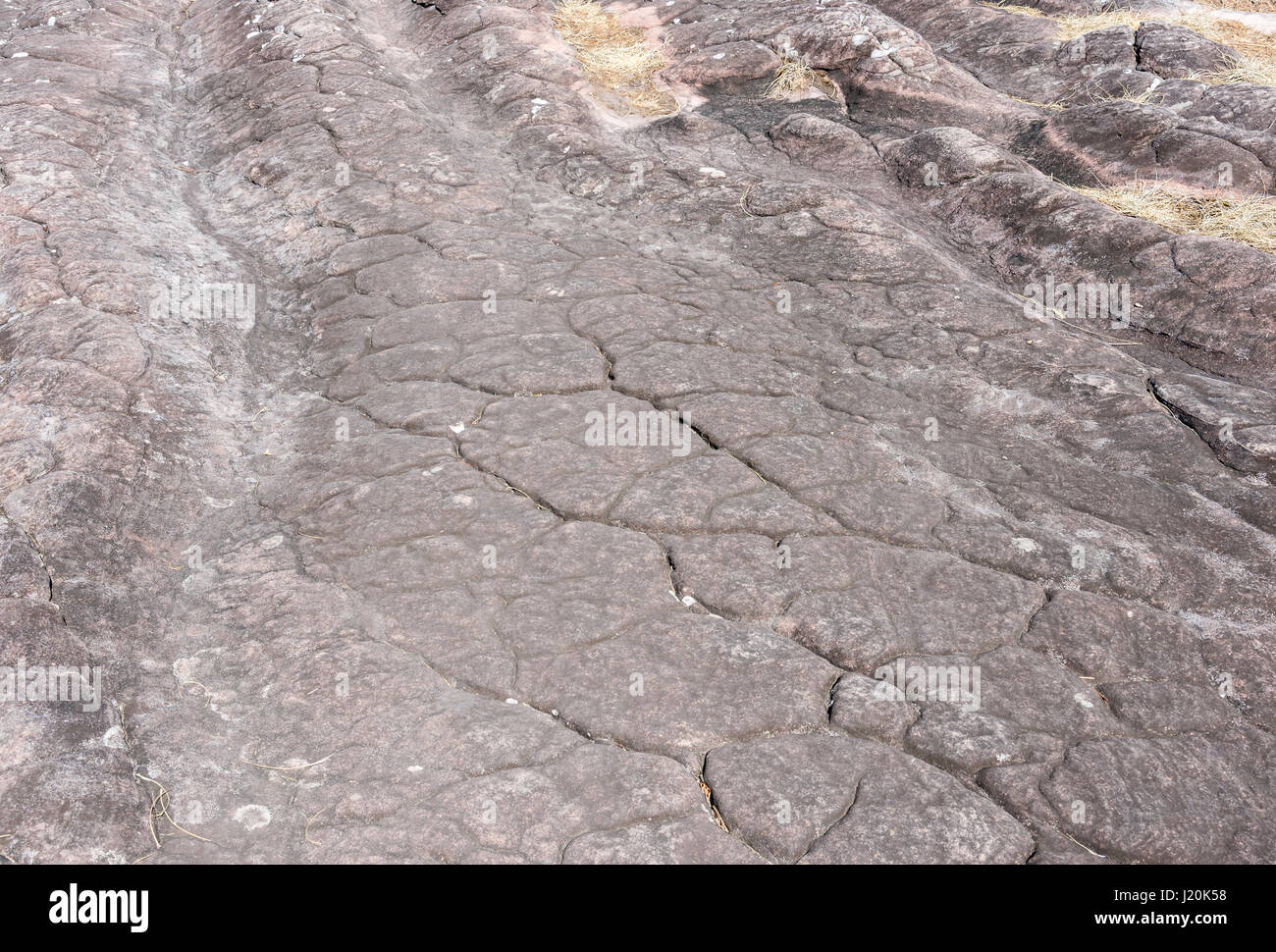 Sandstone channel with the crack pattern from the water erosion on the ...