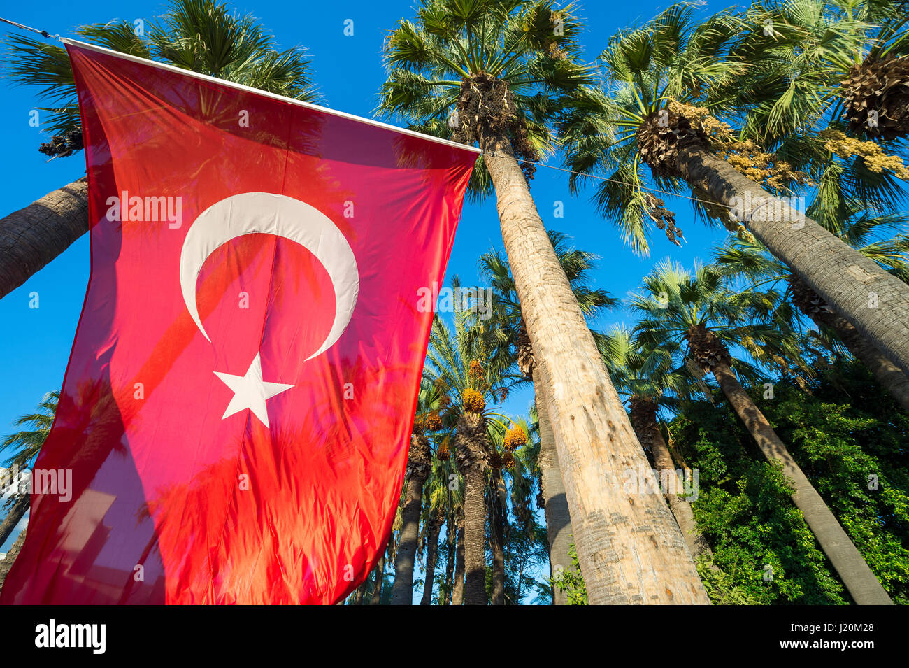 Large Turkish flag hanging in front of palm trees in the Mediterranean ...