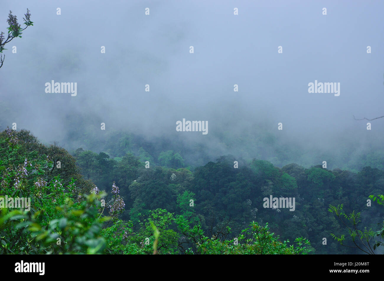 Mountains scenery in the mist Stock Photo - Alamy