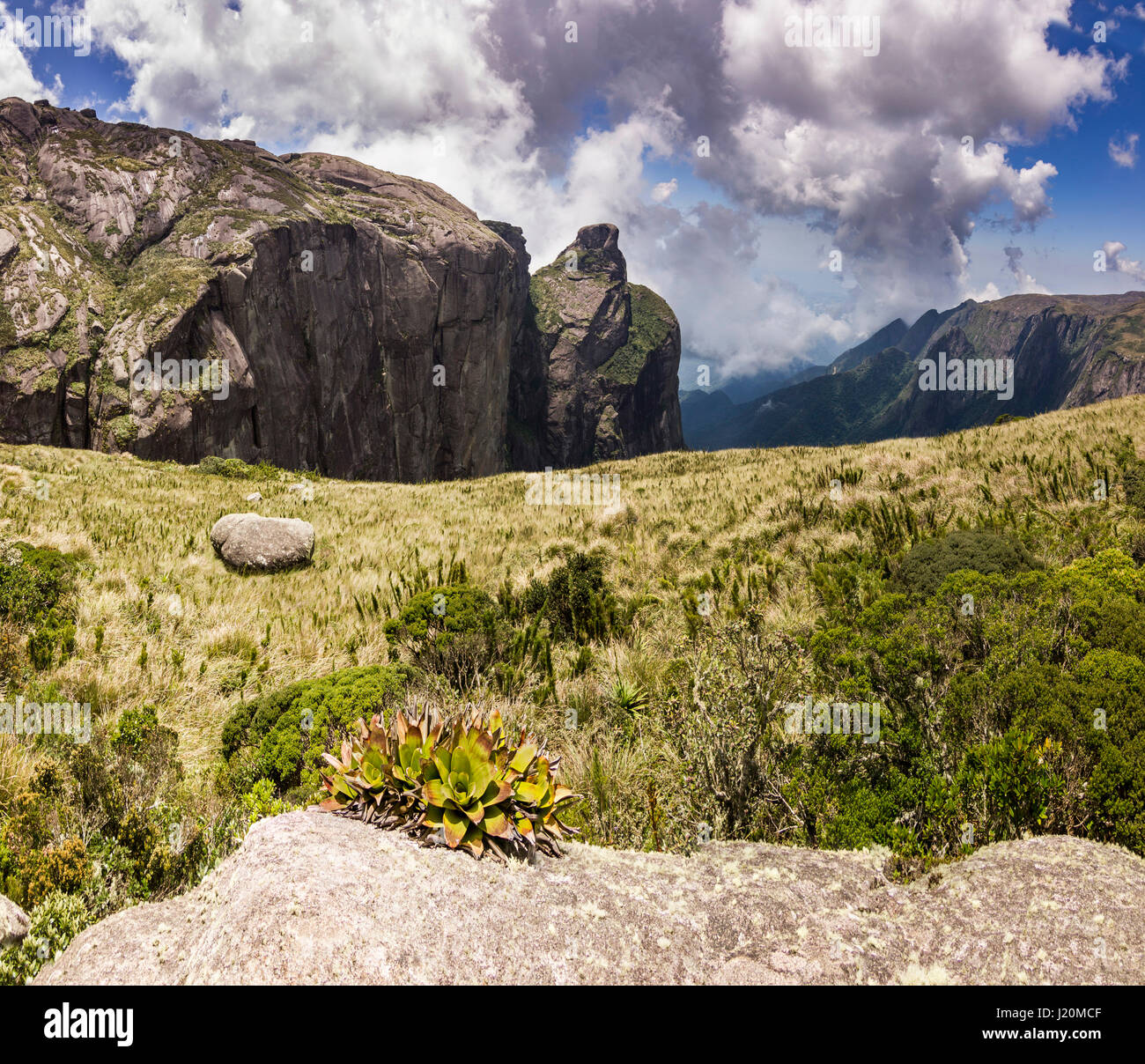 brasil mountains with green forest and steep rocks with blue sky and ...