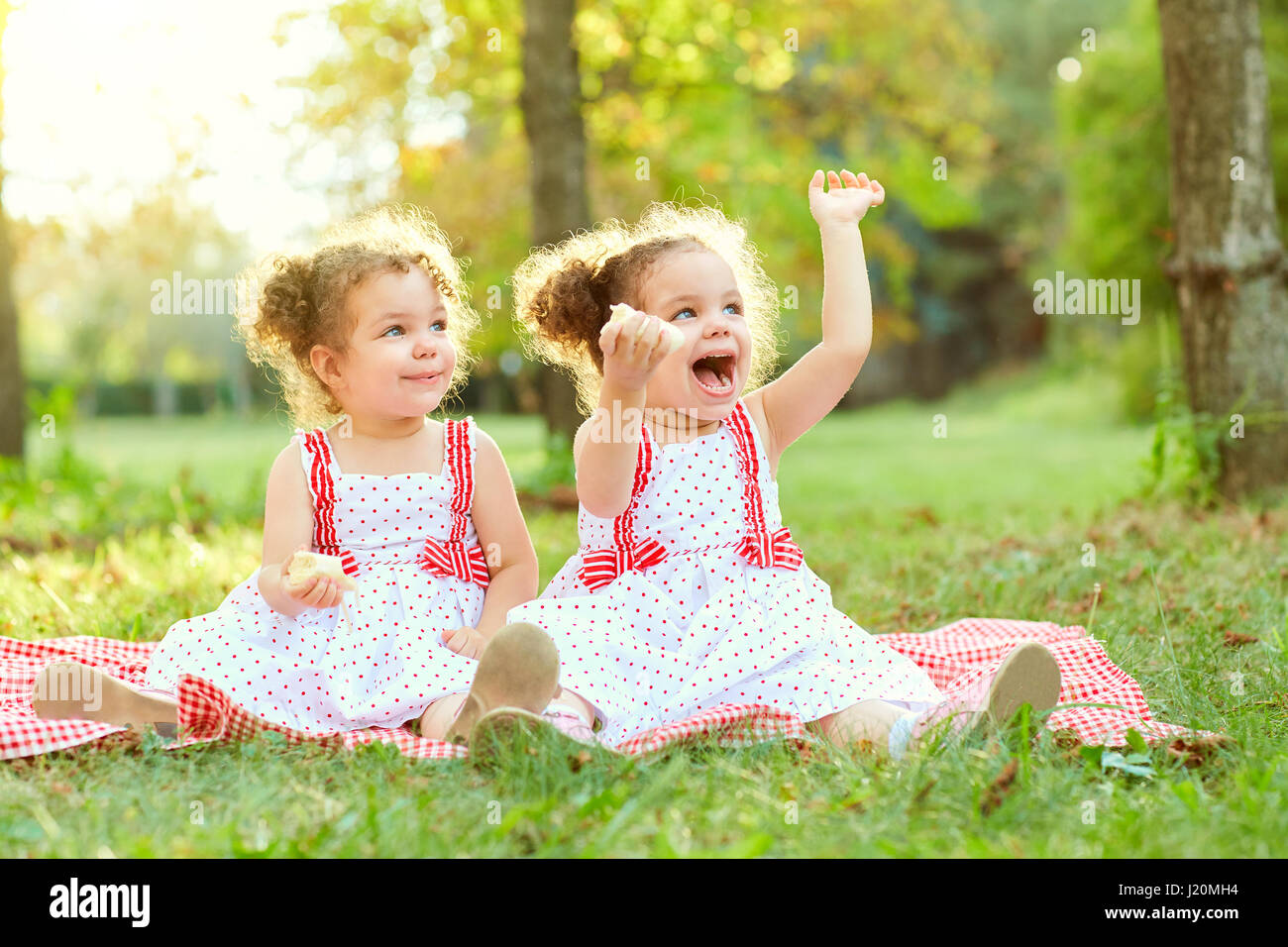 Happy twin sisters children. Girls sister in a park at a picnic laugh ...