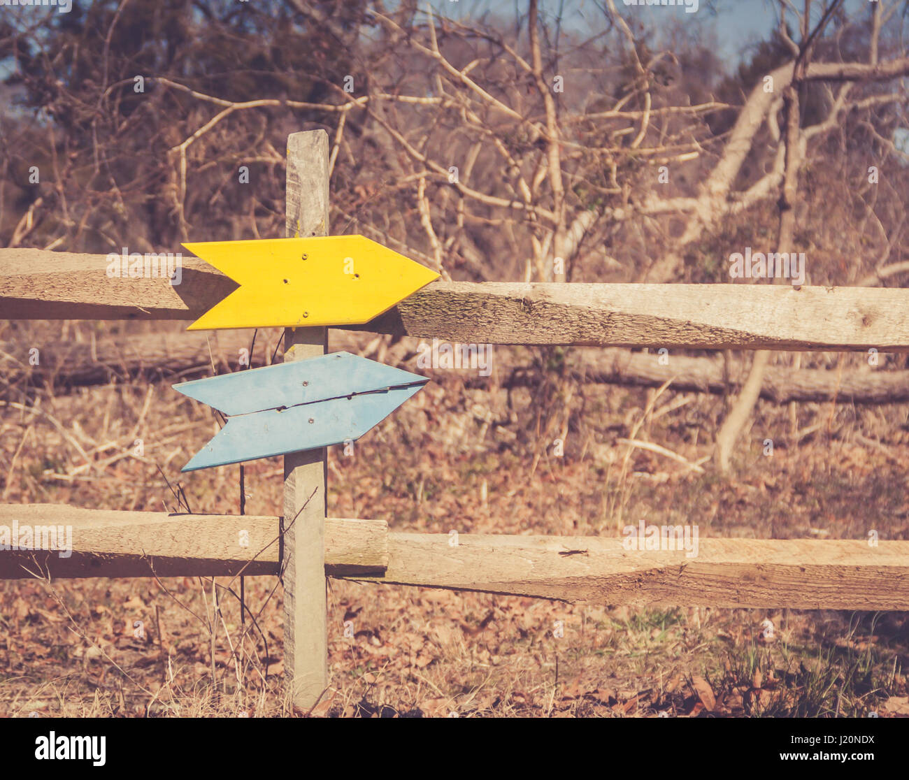 Blank signs shaped like arrow along path Stock Photo - Alamy