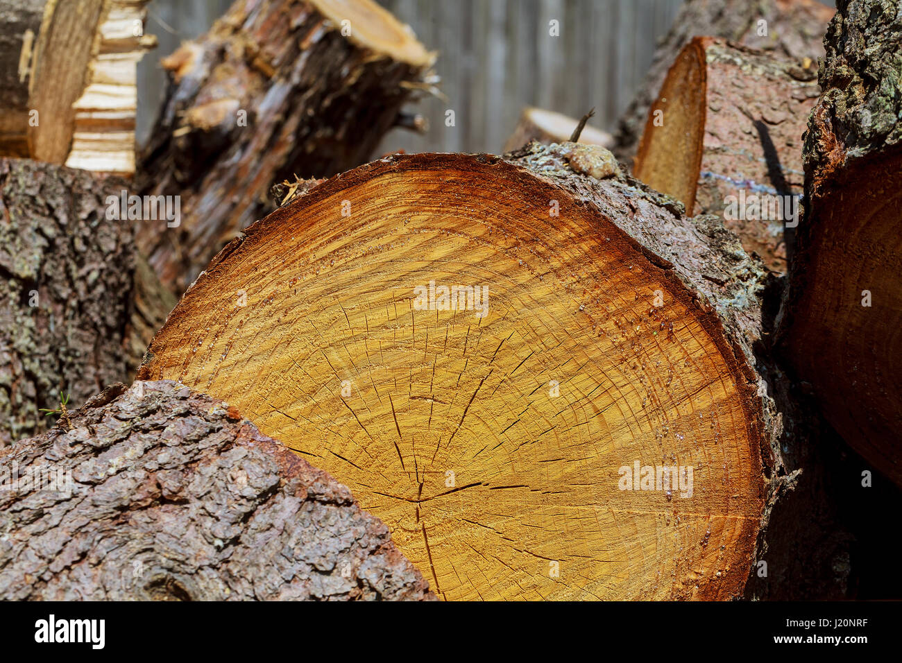 Wood texture grunge background wood frame texture Stock Photo - Alamy