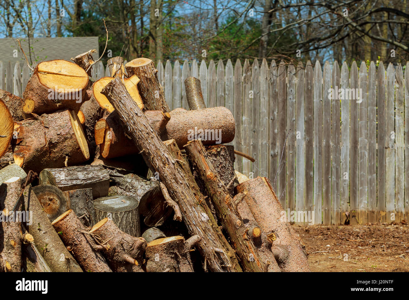 Chainsaw cutting log hi-res stock photography and images - Alamy