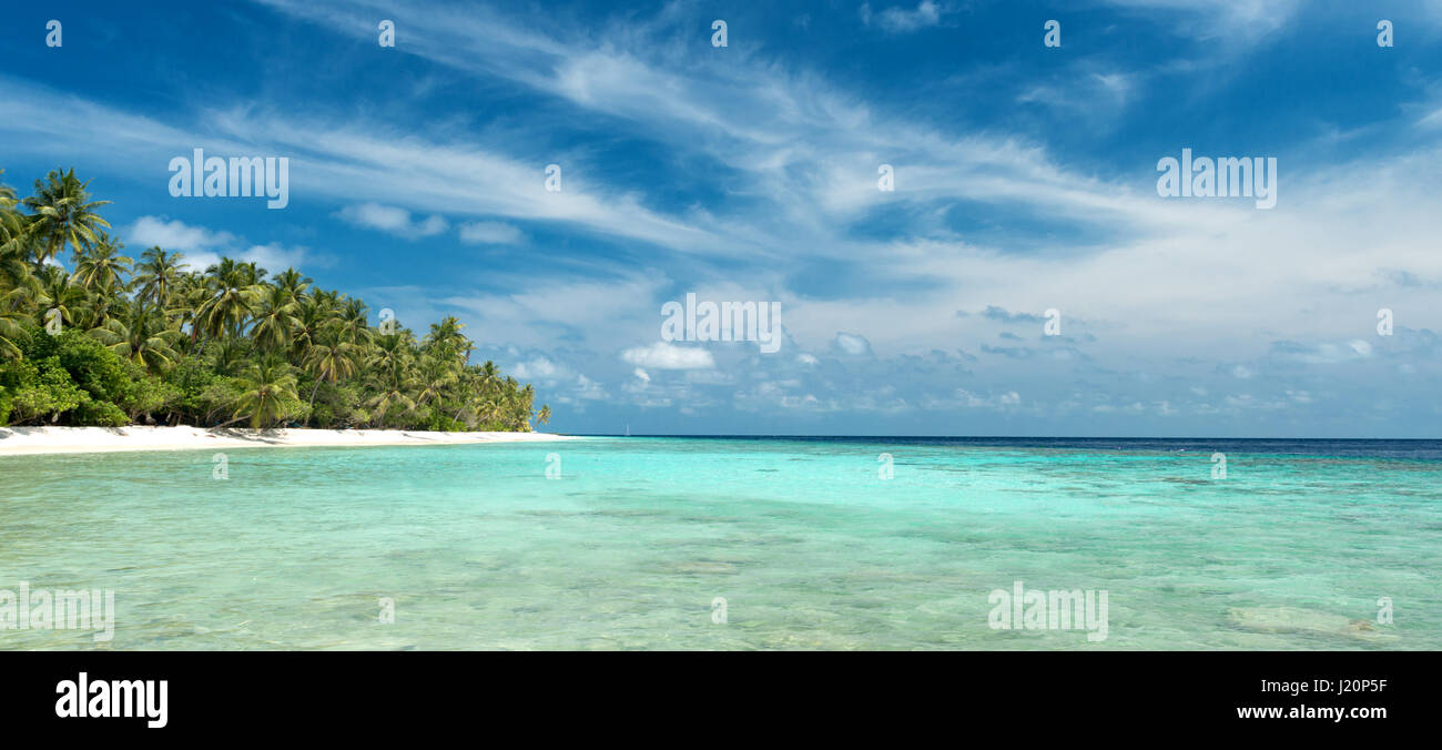 beautiful beach with coconut palm trees on the maldives Stock Photo - Alamy