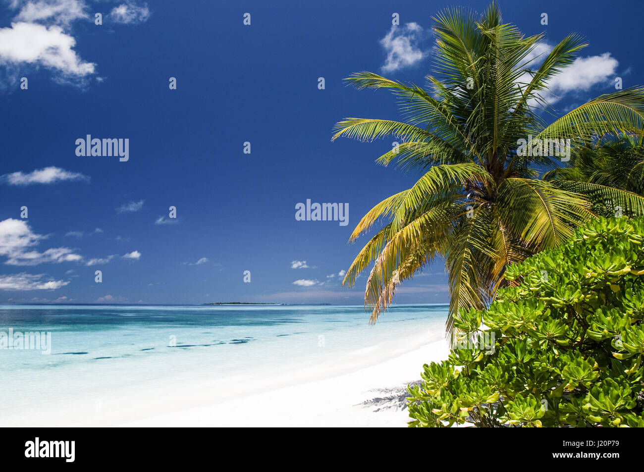 beautiful untouched beach on the maldives Stock Photo - Alamy