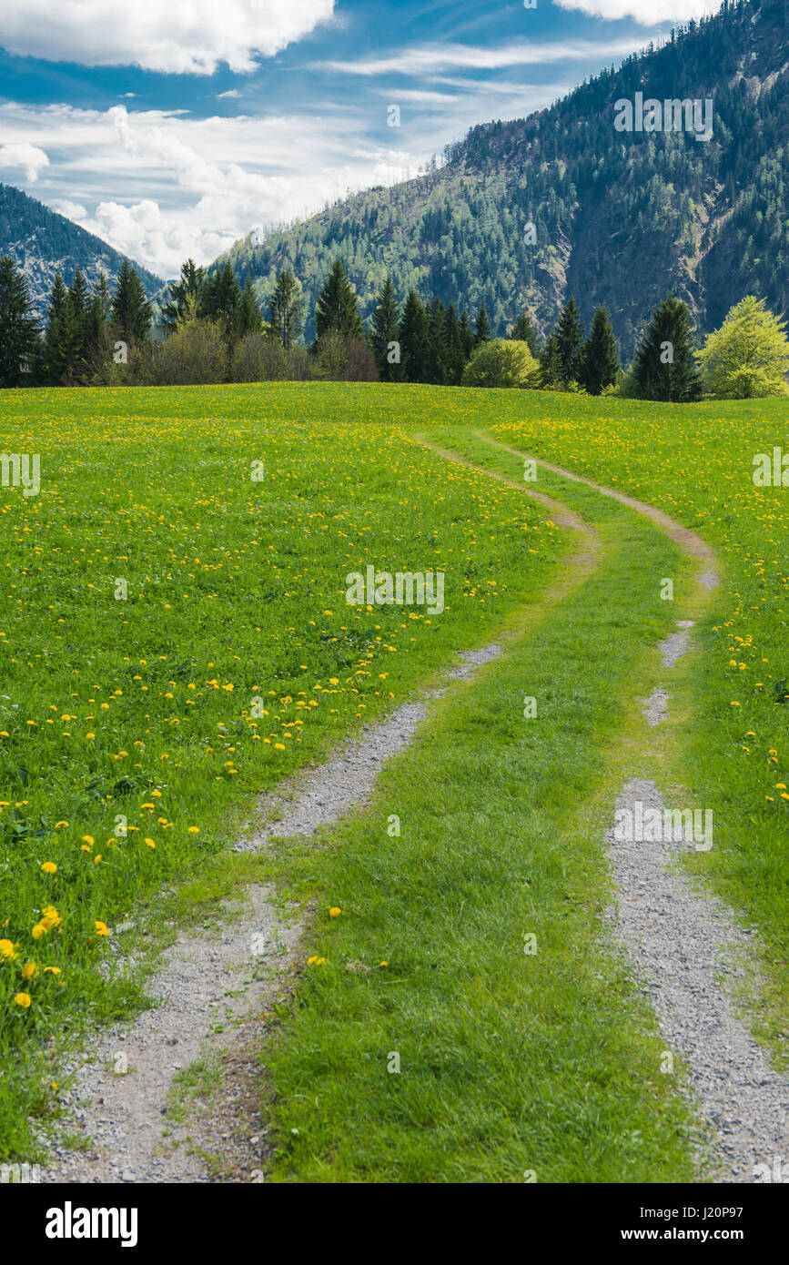 hiking path in the german alps, bavaria Stock Photo - Alamy