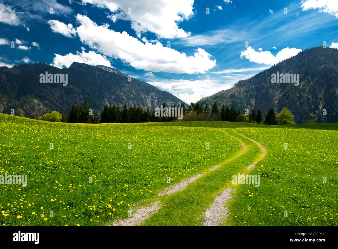 hiking path in the Bavarian Alps Stock Photo - Alamy