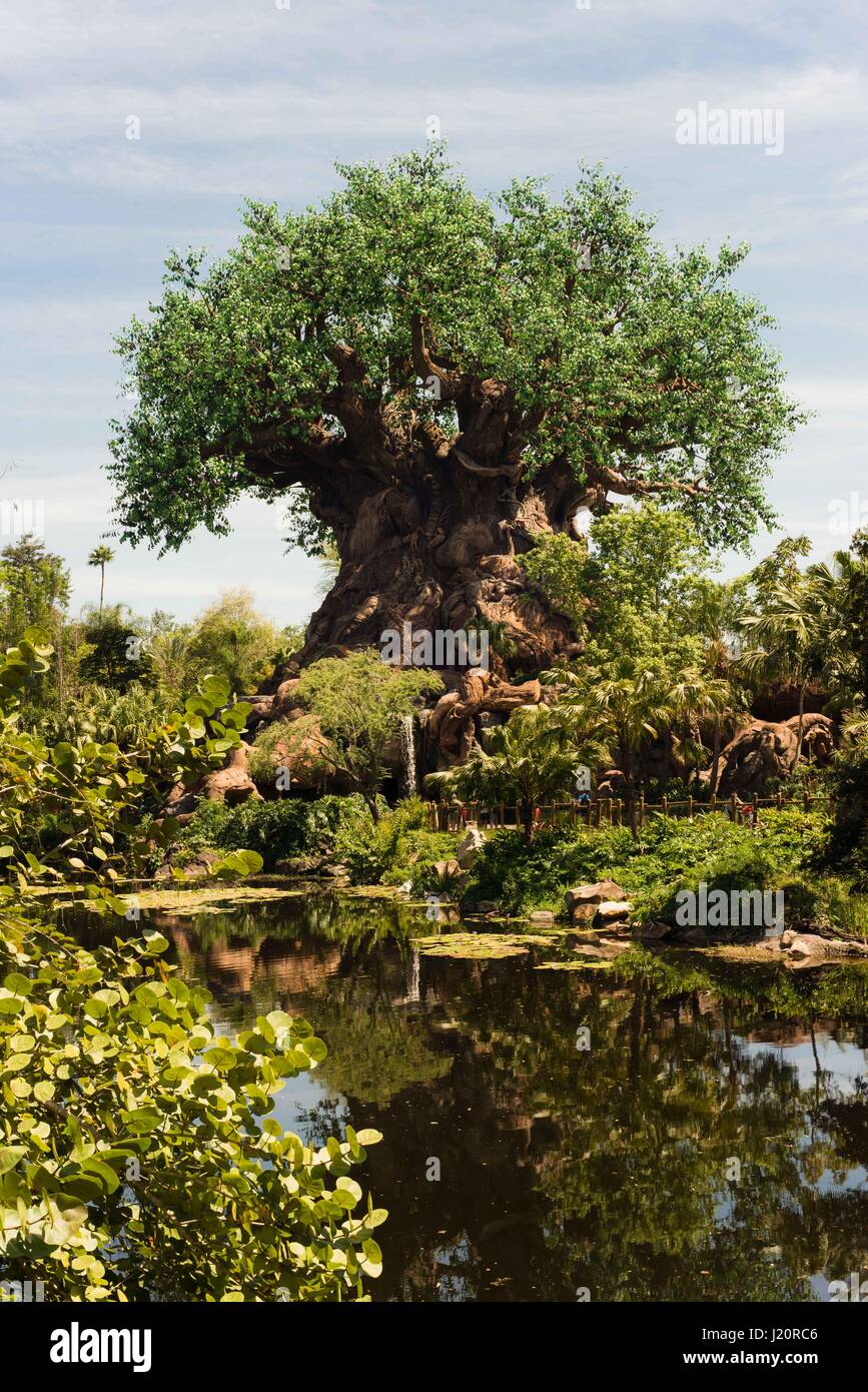 Large tree At animal kingdom, Disney world Florida Stock Photo - Alamy
