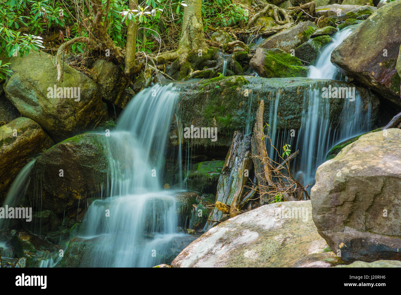 Jungle waterfall hi-res stock photography and images - Alamy