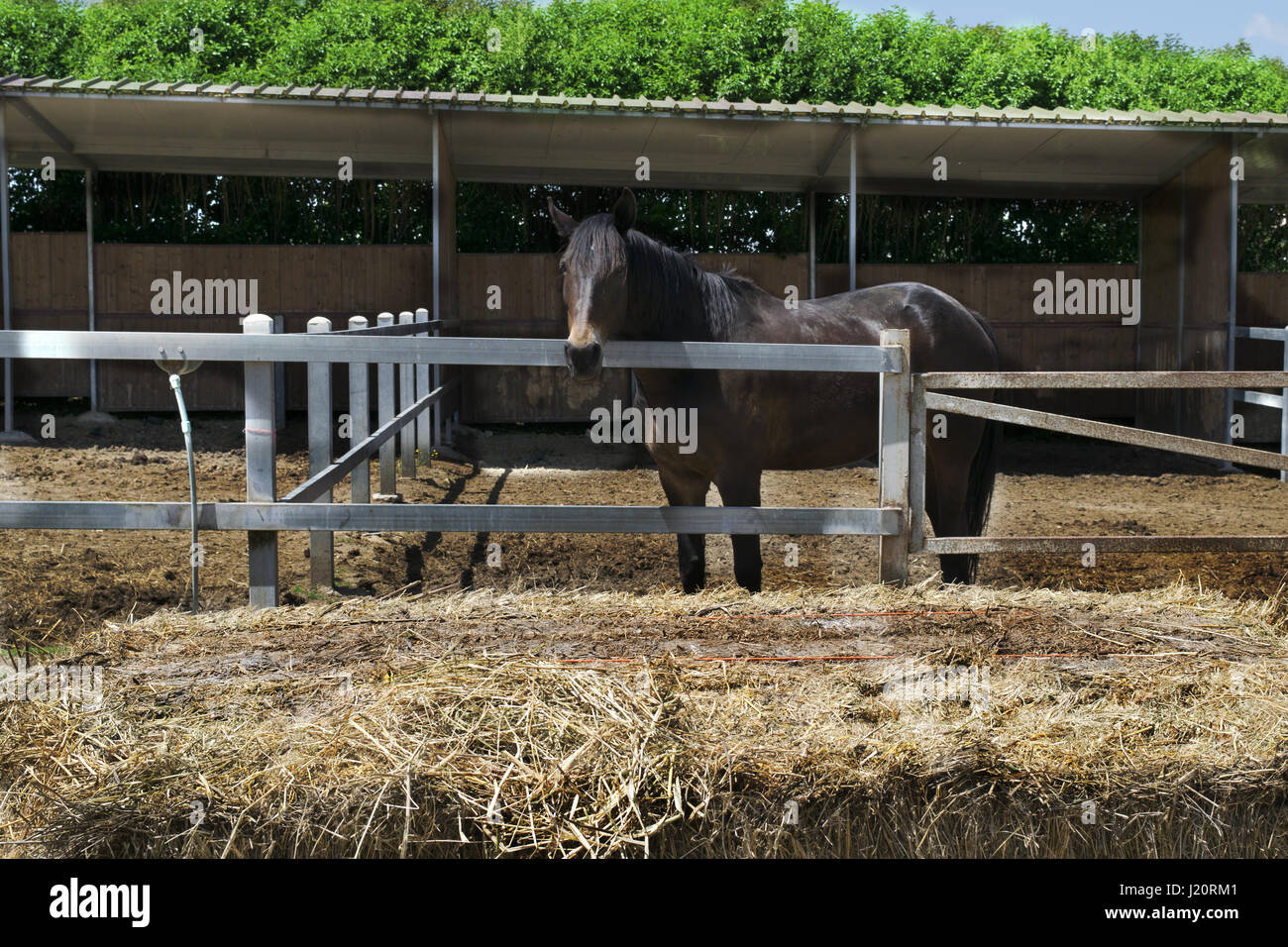 Outdoor stable hi-res stock photography and images - Alamy