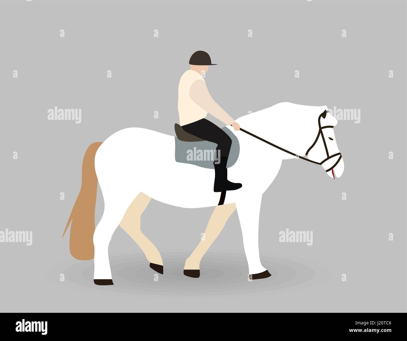 Rider on White horse. Vector Illustration Stock Vector Image & Art - Alamy
