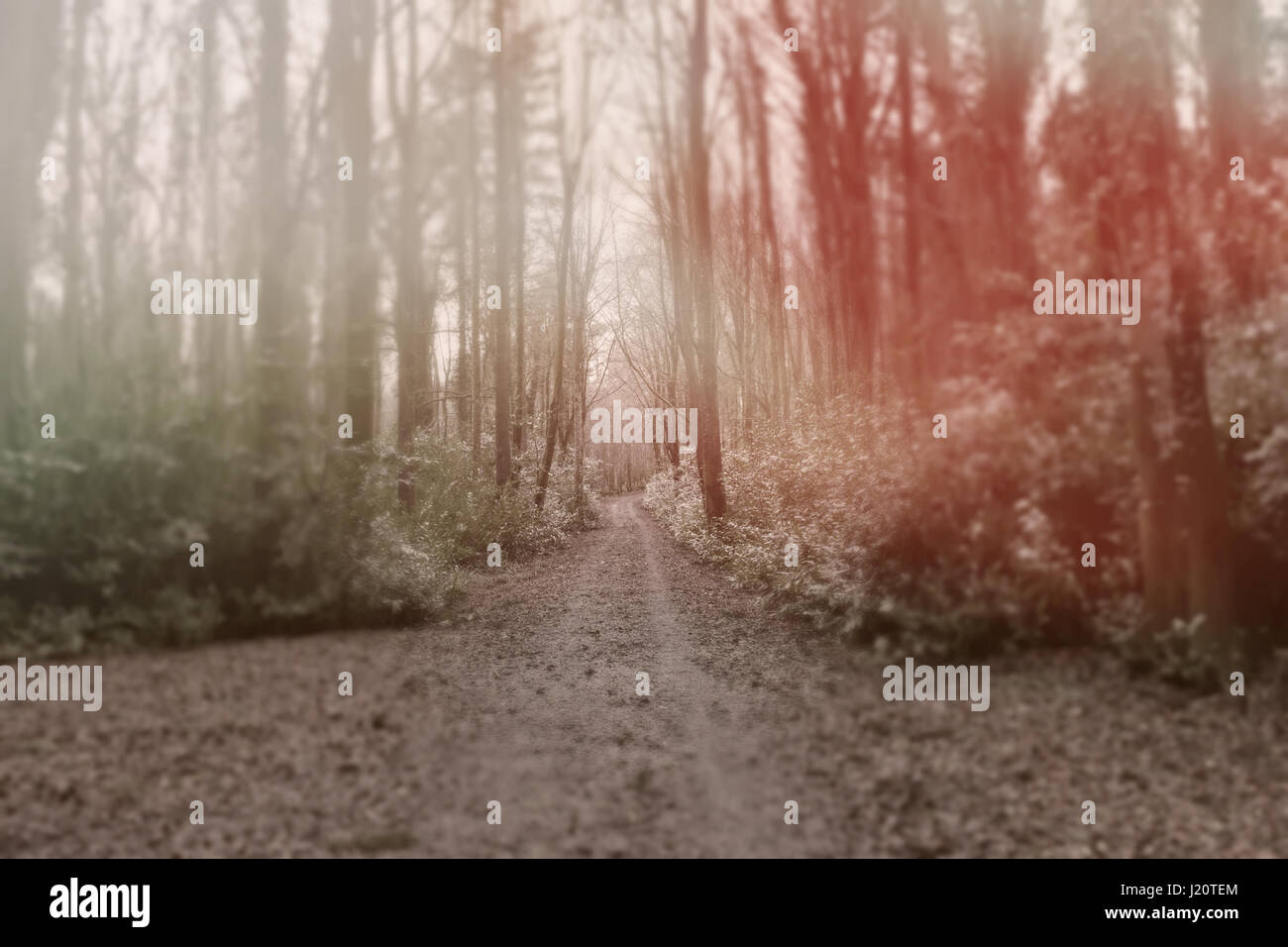 Light blur sun road hi-res stock photography and images - Alamy