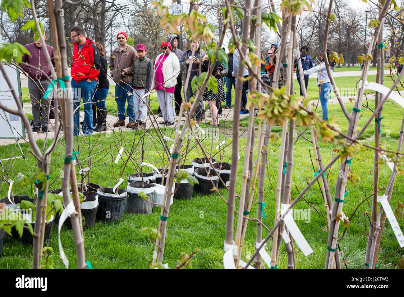 Detroit, Michigan - The Arbor Day Foundation and the Michigan ...