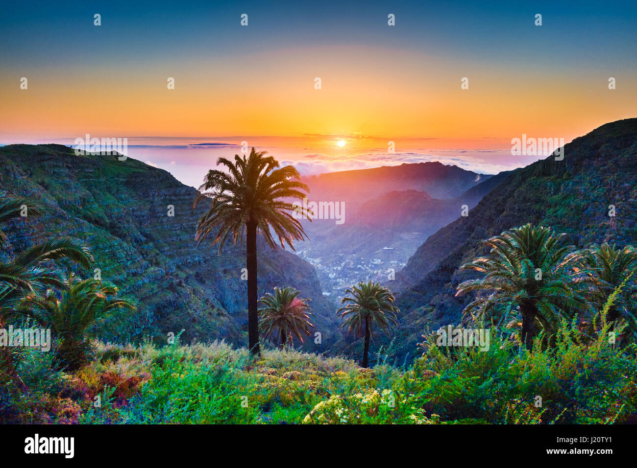 Beautiful view of amazing tropical scenery with exotic palm trees and ...