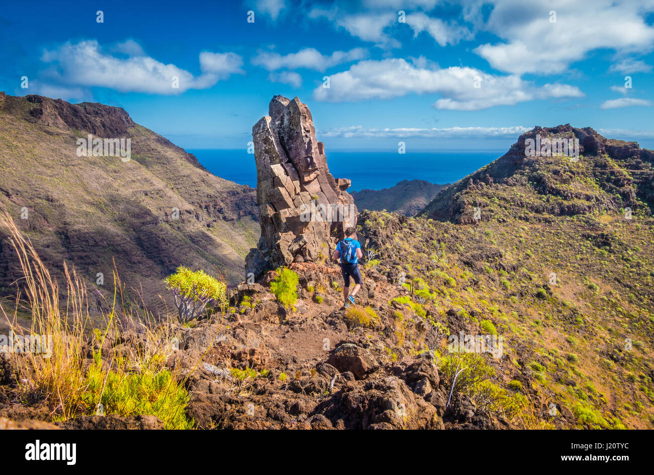 Beautiful view of male tourist hiking in idyllic exotic scenery with ...