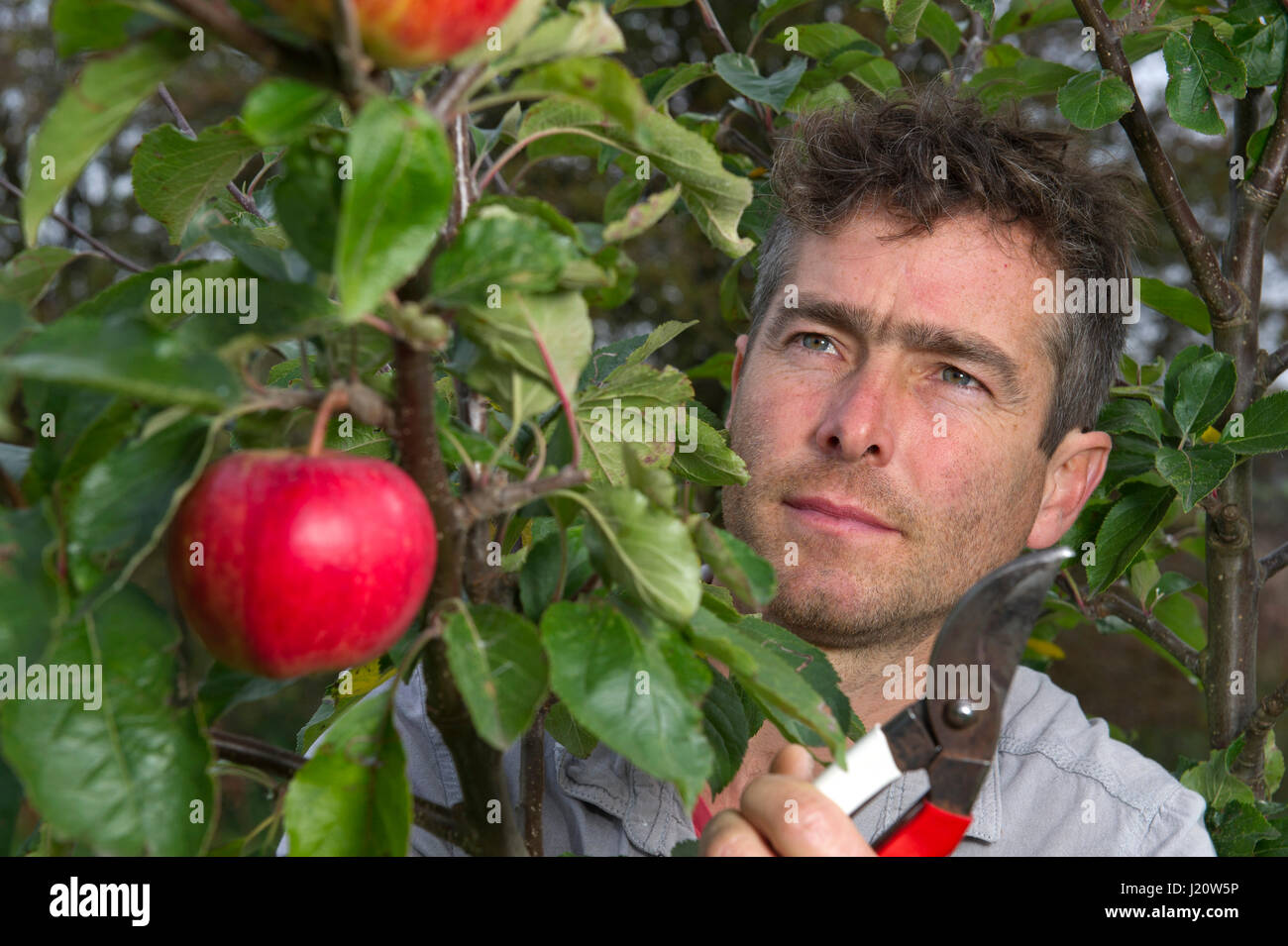 Apple jupiter hi-res stock photography and images - Alamy