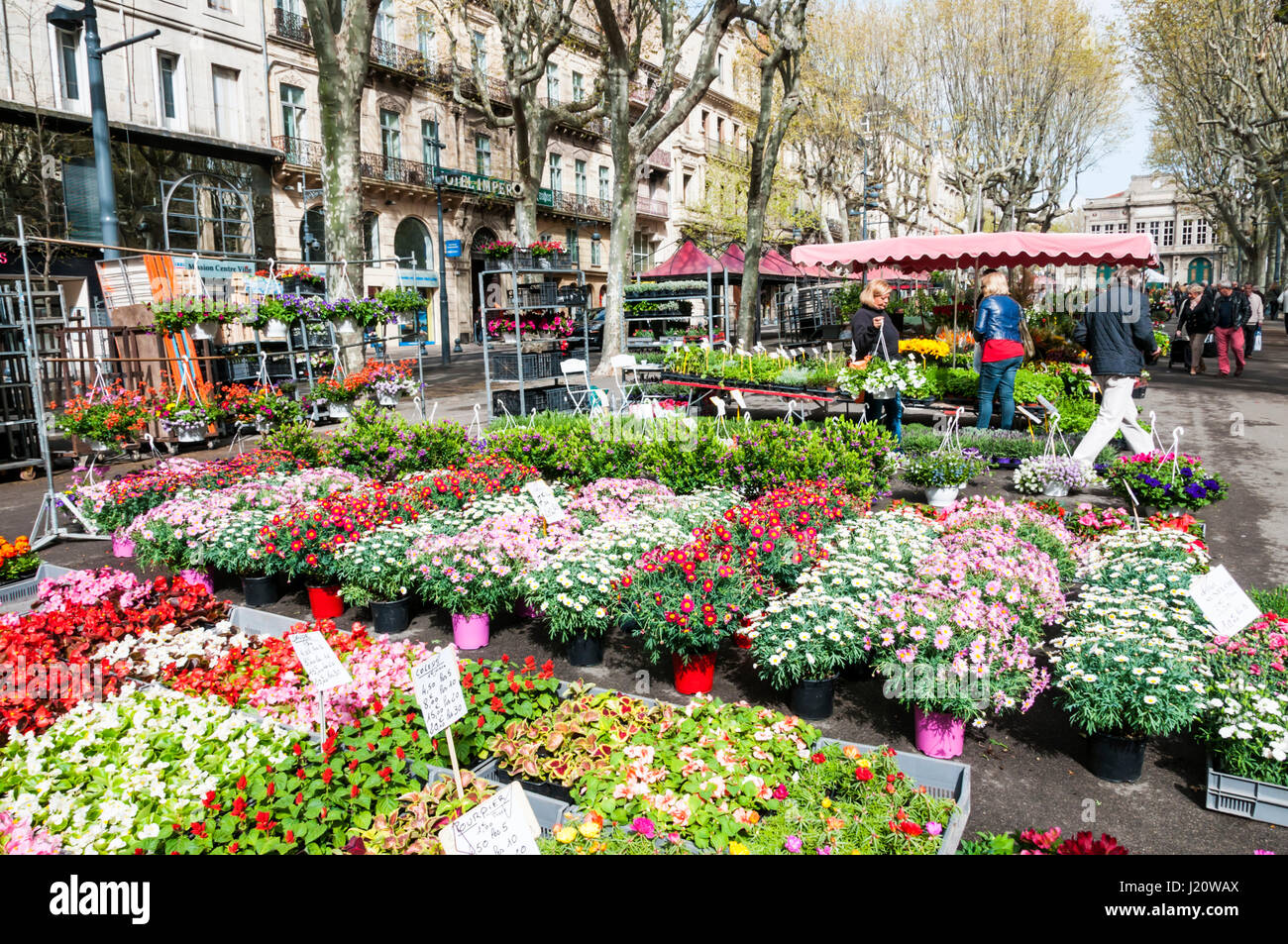 Beziers flower market in Languedoc, France Stock Photo - Alamy