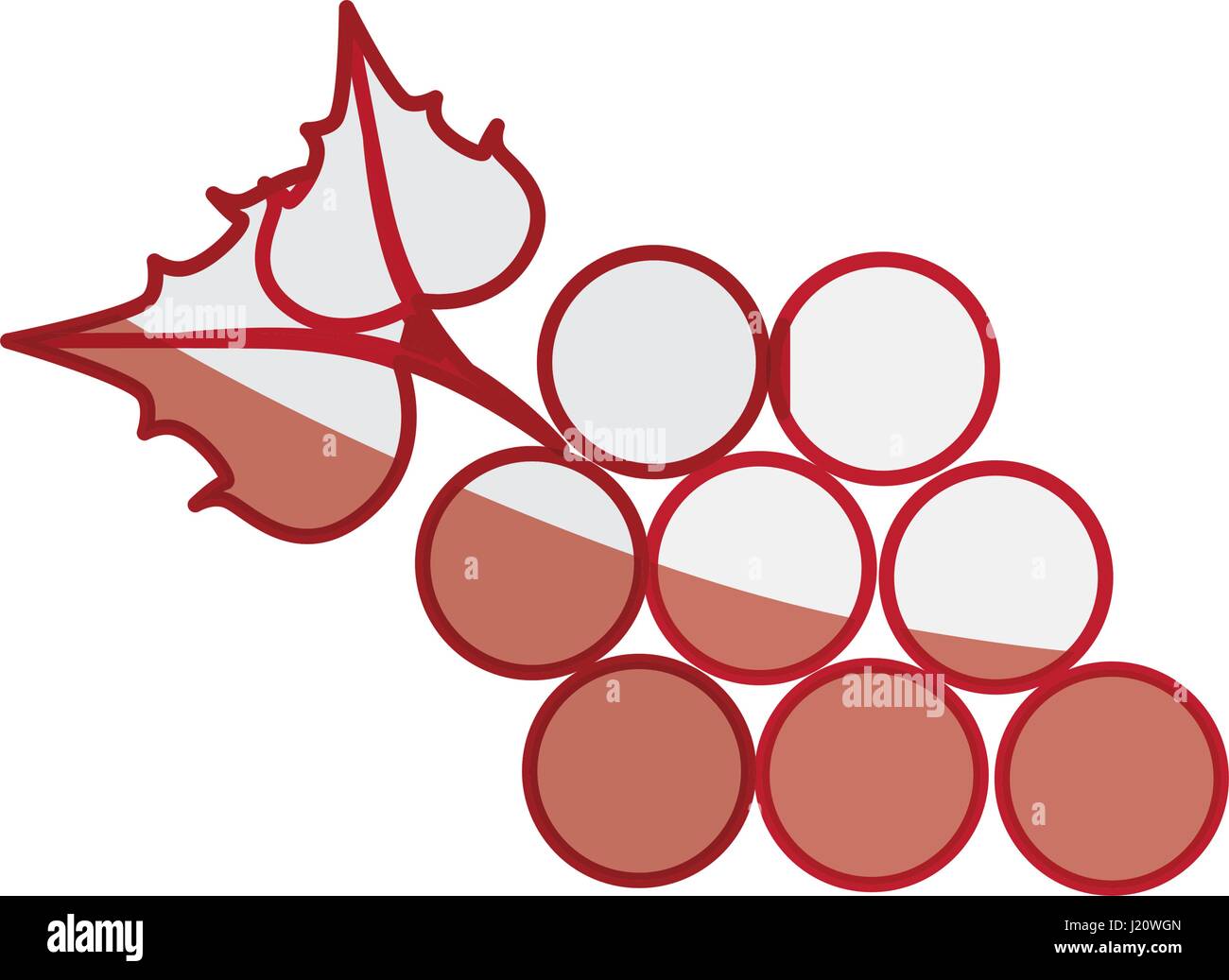 Delicious grapes fruit Stock Vector Image & Art - Alamy