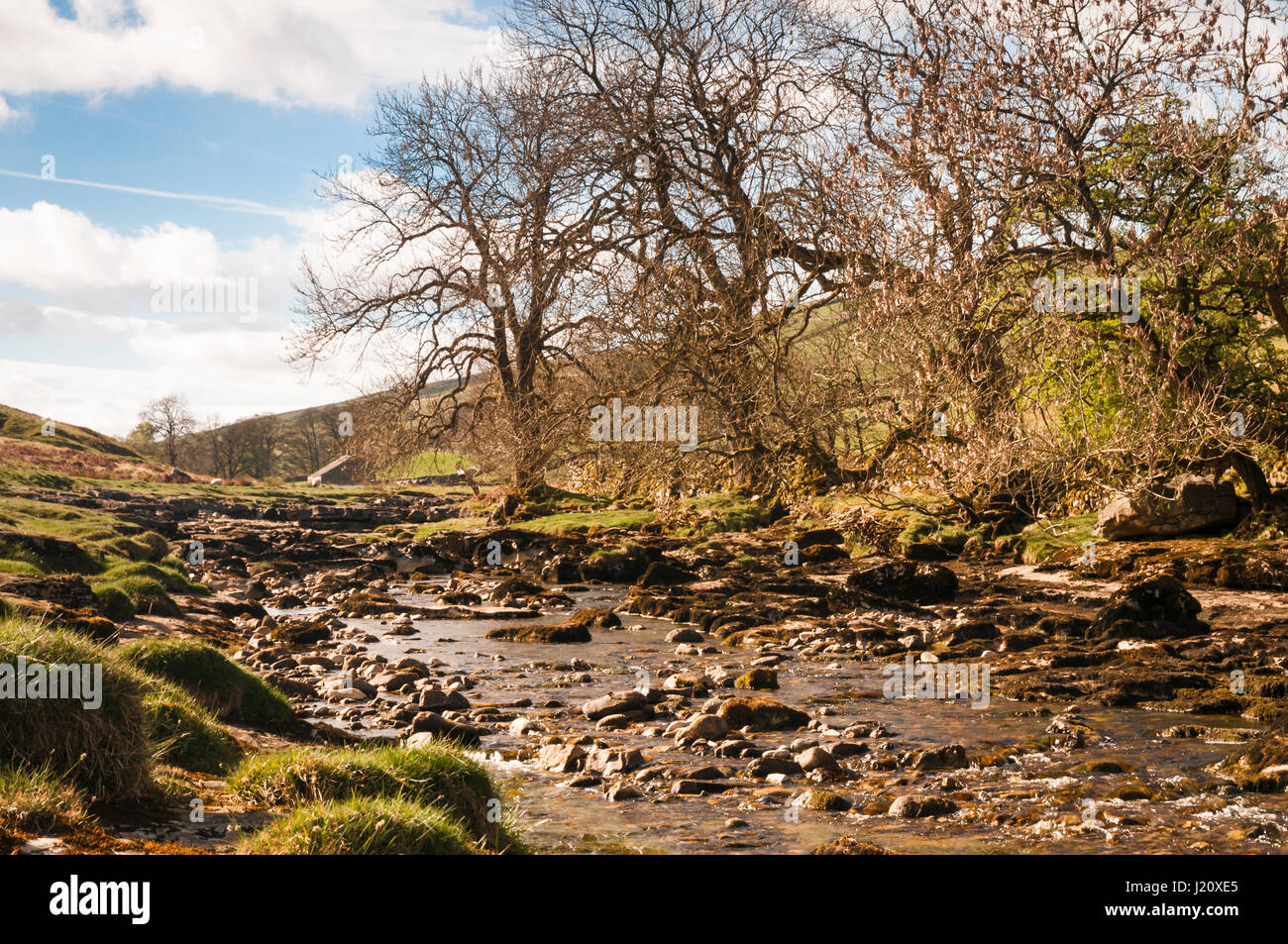 A lovely spring afternoon on the Upper River Wharfe at Deepdale in the ...